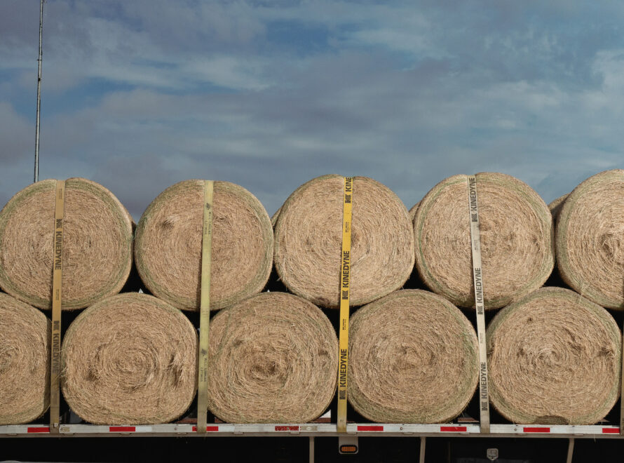 Morales Feed & Supply - Morales Feed & Supply