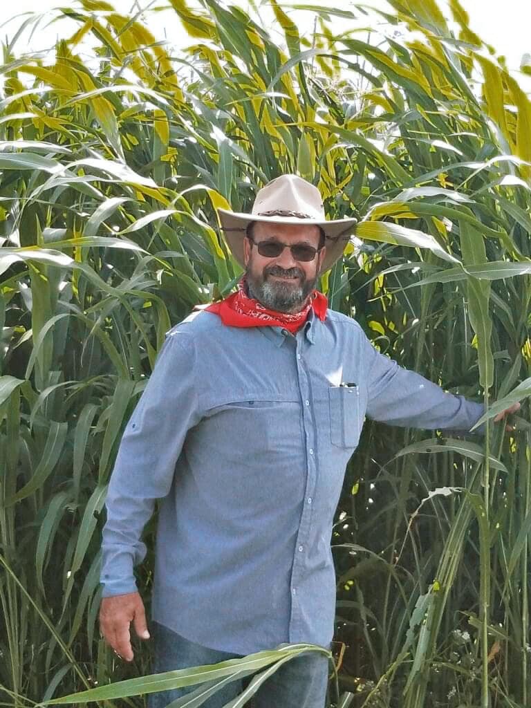 When to plant food plots for deer in Texas - Morales Feed & Supply