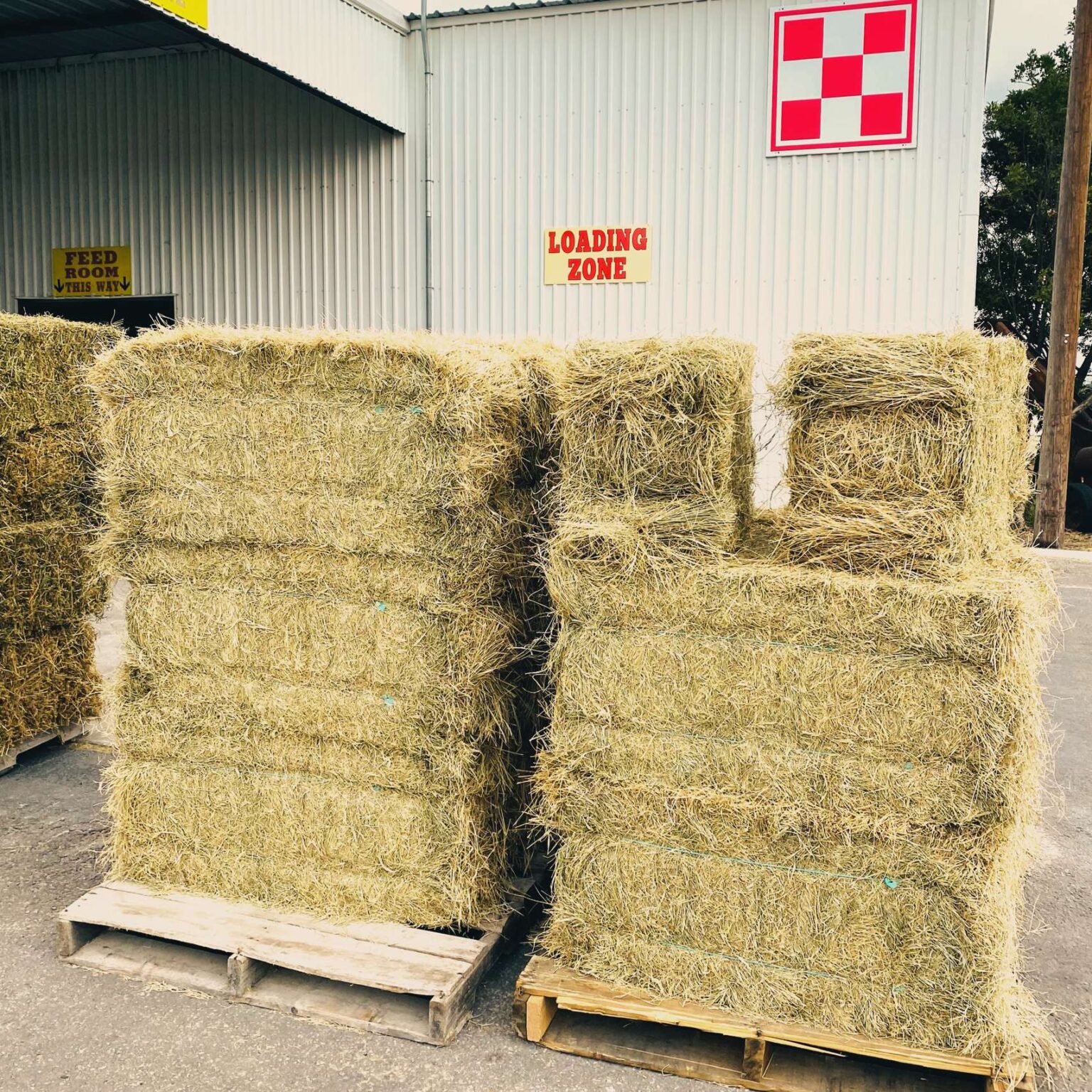 Why Feed Fiber (Hay) Matters for Wildlife in Winter - Morales Feed & Supply