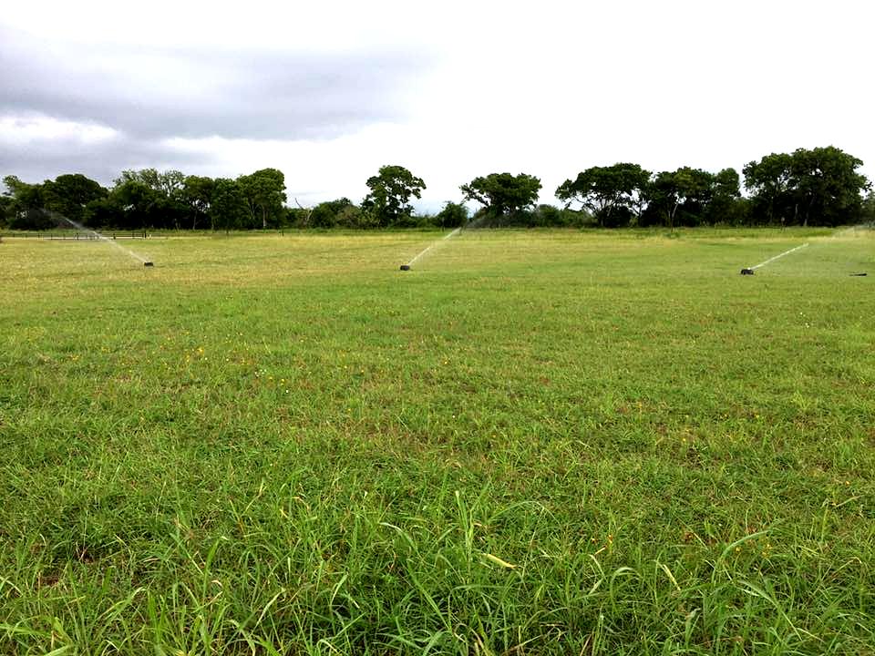 Drought Impact & Water Management - Morales Feed & Supply